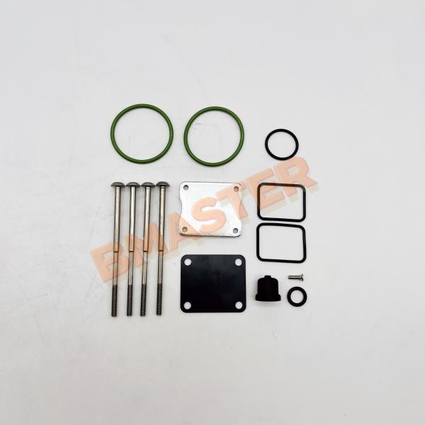 Quality OEM-compatible Fuel Injector Repair Kit With Precision-machined Durable Components For 799 Single Plunger Pump for sale