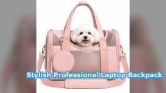 Plum Purple Business Laptop Backpack 15 6 Inch