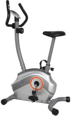 China Magnetic Bike for sale