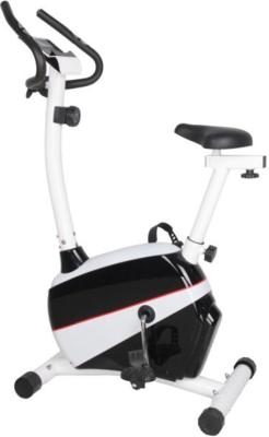 China Magnetic Bike for sale