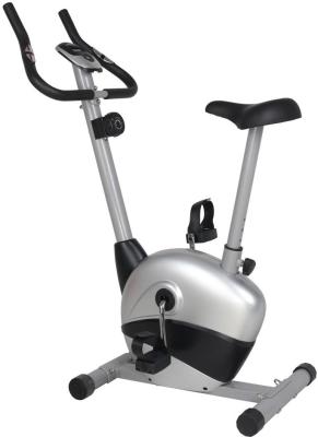 China Magnetic Bike for sale