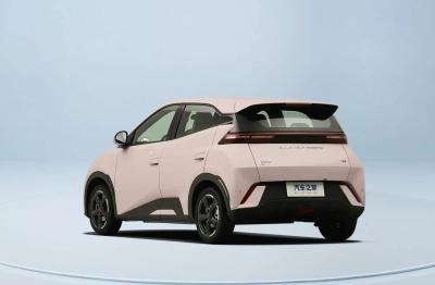 China 2025 BYD Seagull Hatchback EV New Full Electric Car Small 5 Door 4 Seats for sale