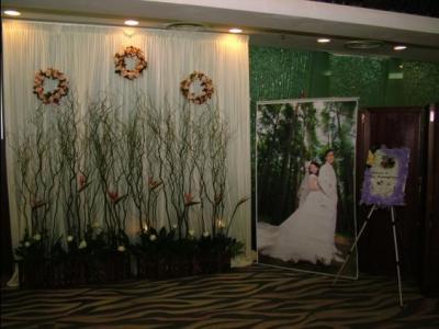 China Buy Pipe Drape wholesale fireplace backdrop wallcovering outdoor wedding pipe drape decoration ideas for sale