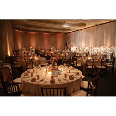 China pipe & drape backdrop system ceremony backdrop diy wedding hall decorators event backdrop design for sale