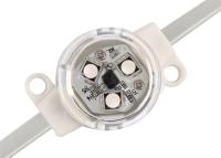 China PC Shell UV Protect RGB 30mm Pixel Strings with XH6897 IC - DC12V 0.75W LED Landscape Lighting for sale