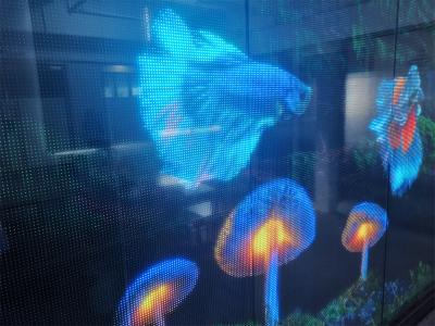 China P10 Flexibel Transparant Full-color LED Display Zelfklevend LED Scherm op Glas voor Buiten en Binnen Gebruik Te koop