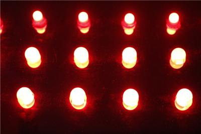 中国 ミラクル・ビーーン 屋外防水 12mm 単色 LED ピクセルライト 販売のため