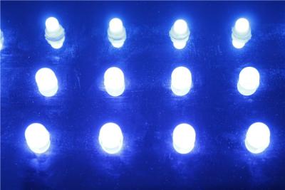 China SMD5050 IP67 DC12V 0.3W Luz de píxeles LED de color único impermeable en venta