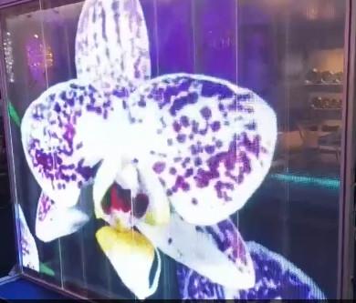 China Flexible transparency adhesive LED Film Screen thin Advertising Video Wall P6DC5V WE2121RGB 16bit for sale