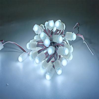 中国 高品質の屋外 IP67 防水 単色 0.2W LED DC 12V 9mm LED ピクセルライト 販売のため