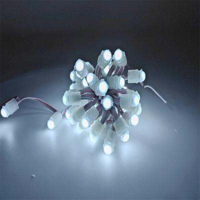 China DC12V 9mm Factory Direct Sale Led pixel light IP67 Waterproof For Led Advertising Signboard Christmas tree lighting for sale