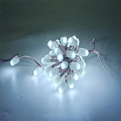 중국 좋은 가격 IP67 방수 LED 픽셀 라이트 DC12V 0.2W 30000 시간 수명 판매용