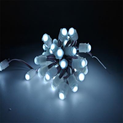 Cina Buona qualità 9mm SMD2025 Unico colore Digital LED Pixel Light Decorazioni natalizie IP67 impermeabile Luce esposta in vendita