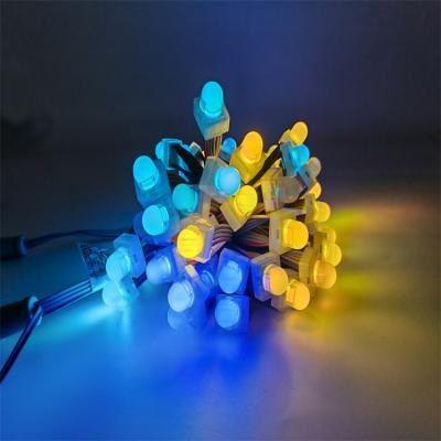 Китай DC12V 0.3W 12mm SMD2025 LED модуль пикселей IP67 водонепроницаемый полный цвет RGB строка квадратный светодиодный свет Адресованный продается