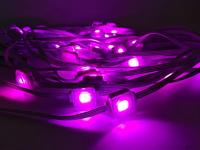 China PC Shell LED Point Light Side Emitting View Sample Kit Module RGB Pixel Light 30pcs DC24V IP67 for sale
