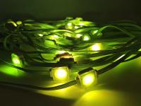 China PC Shell LED Point Light Side Emitting View Sample Kit Module RGB Pixel Light 30pcs DC24V IP67 for sale