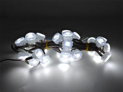 China 20mm 12v LED monocromático à prova d'água fonte de luz de ponto de pixel cartaz palavra luz de pixel à venda