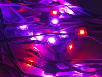 China 24V RGBIC WiFi LED Eaves Light Strip Pixel 60PCS IP67 Programmable SPI Controller for sale