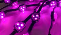 China Outdoor LED Strip Decorative Lighting 12V IP67 Permanent Building Facade Light 25mm for sale
