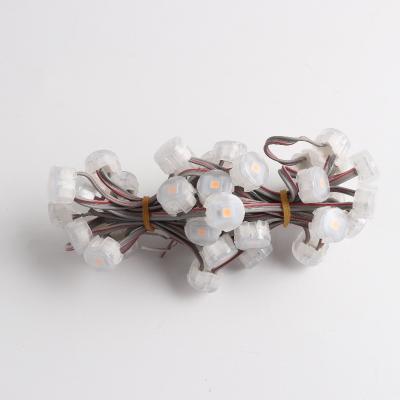 China Waterproof Outdoor  PC Body 1W Epistar Chip 20mm RGB LED Point Light for sale