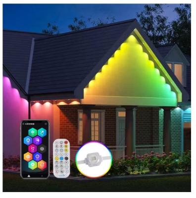 China Good Quality Waterproof IP67 Christmas Light Outdoor Holiday Light Illumination Led Pixel Point Light for sale