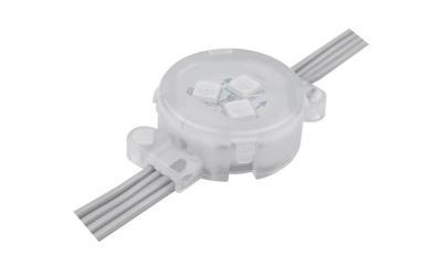 China 6m Per Row LED Strip Light IP67 Rated Suitable For Garden Park Lighting for sale