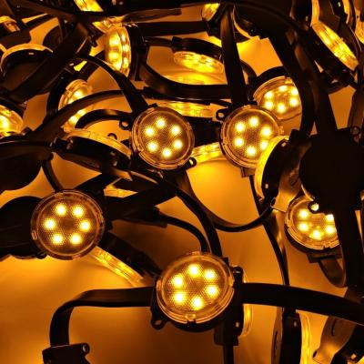 China 24V Brillo 50mm Pixel Luz de punto LED para iluminación de jardines de edificios al aire libre en venta