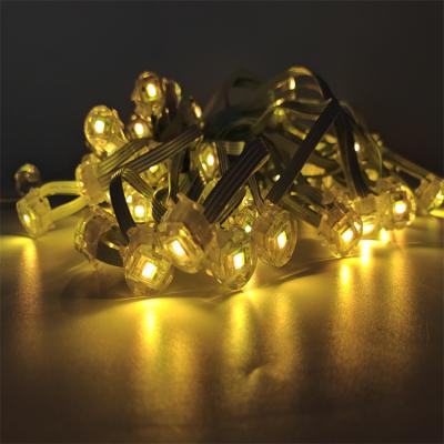 Cina Luci di Natale RGB intelligenti per esterni 20MM DC12V Controller App IP67 Impermeabile per decorazione di tetti e grondaie in vendita