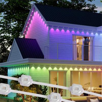 China Long-Lasting RGBIC LED Permanent Light for Christmas Decorations PC Shell Glue LED QTY 1 Leds/pieces for sale