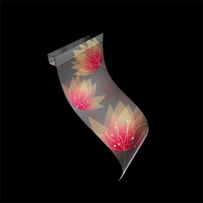 China P10 Flexible Transparent Full-color LED Display Adhesive LED Screen on Glass for Outdoor Indoor Use zu verkaufen