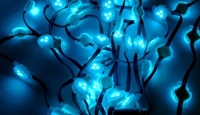 中国 屋外ビルディング 3cm RGB SMD5050 LED点光源 IP67 DC12Vで防水 販売のため