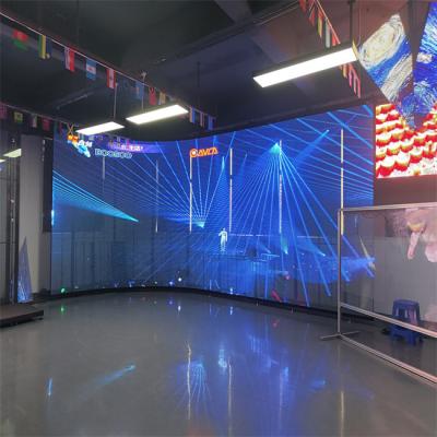 China P2.6 Led Transparent Screen Display Outdoor Waterproof High Brightness Colorful Advertising LED Board for sale