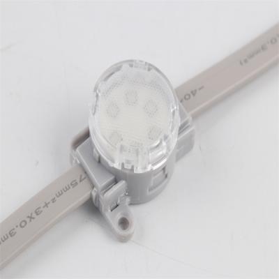 China Permanent Christmas 24V  SMD3535  Waterproof IP67  Rgbw Party Lights Led Pixel Point Light for sale