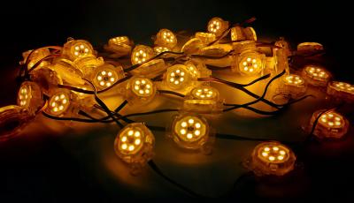 中国 DMX512 ICチップ 防水アルミプロファイル LEDピクセルポイントライト DC12V動作電圧での恒久的なクリスマス装飾用 販売のため