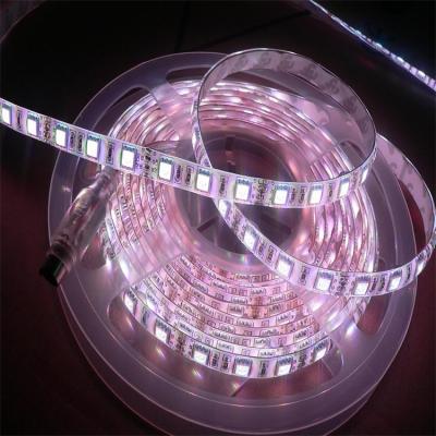 Cina FPC flessibile PCB Board led 5050 RGBW alta luminosità prodotti di illuminazione multifunzionali 5000*12*4.0mm DC24V Striscia LED in vendita