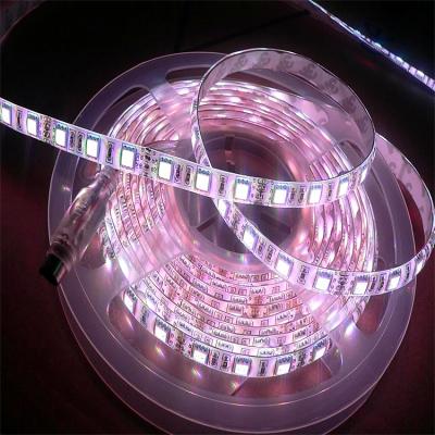 China High-Density SMD5050 RGBW DC24V LED Strip Light 60leds/m Ribbon Light Dimmable for sale
