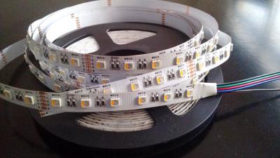 China High-Density SMD5050 RGBW DC24V LED Strip Light 60leds/m Ribbon Light Dimmable for sale