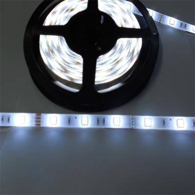 China Decorative RGBW 24V 12V  Waterproof Outdoor Smart Led Strip Light Custom 5050 5M 10M 15M Wheel Light Strips for sale