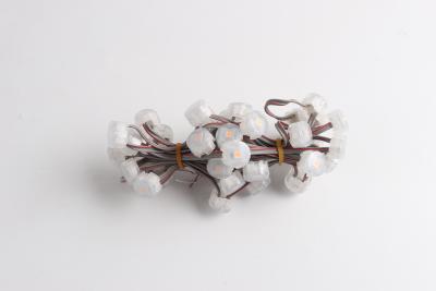 Cina Alta qualità Alta luminosità 20mm RGBW LED Point Light 5V 0.4W IP67 Amusement Funfair Landscape Mini LED Point Light in vendita