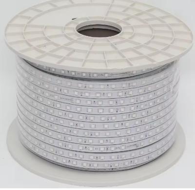 China Premium 24V LED Strip Lights Flexible Waterproof IP65 LED Tape Lighting for Building Facade Signage Event Stage for sale