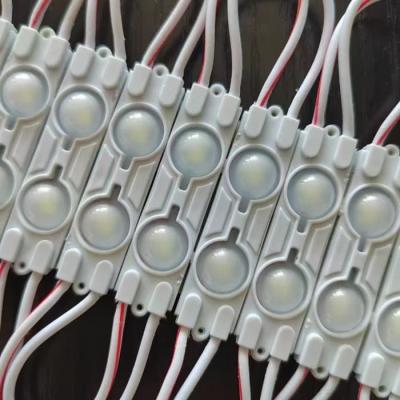 China 4211 High Brightness 2835 Led Lamp Module 220v 0.8w IP67 Injection LED Module Light for Advertising Sign for sale