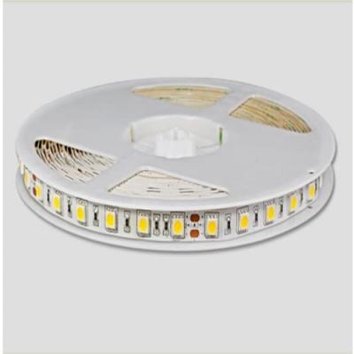 China IP67 Waterproof LED Strip 5050 DC12V 60LEDs/m Flexible LED Light RGB RGBW 5050 LED Strip Light for sale