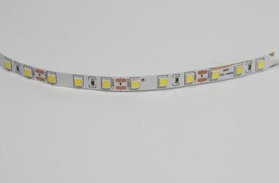China 3000/4000/6000k Led Strip Light 5M/Roll 8MM  Light Strip Smd 5054 Led Strip Light for sale