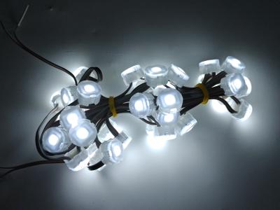 China 22.83mm 12V IP67 Waterproof LED Point Light with 120 Degree Beam Angle Made of PC Material for sale