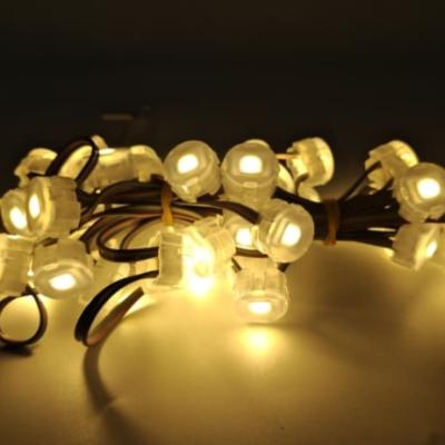 China IP67 Waterproof 20mm DC5V SMD5050 LED Point Light Flexible PC Material Lighting for sale