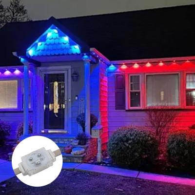 China Outdoor Waterproof 40mm Colorful Monochrome RGBW Full Color DC48V Building Landscape Lighting Led Point Light for sale