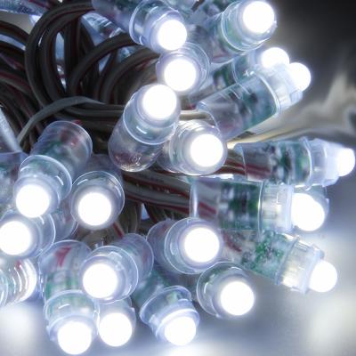 China Cruisesdecoratie 0.1w 9mm Rgb Pixel Lichte Koorden Te koop