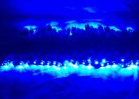 China 12mm LED Pixel Light DC5V 0.15W Blue IP65 for Channel Letter Sign Decoration for sale