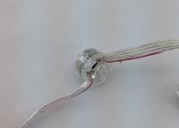China Digital RGB LED Pixel Light DC12V 0.8W IP67 Waterproof for Architectural Lighting 12mm-45mm for sale