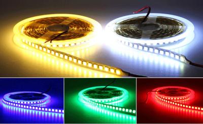 China Room Decoration Smart Strip Lights with 30 LED/m and RGB Remote Control for sale